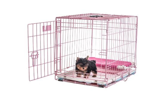 Your store. Deluxe Kit